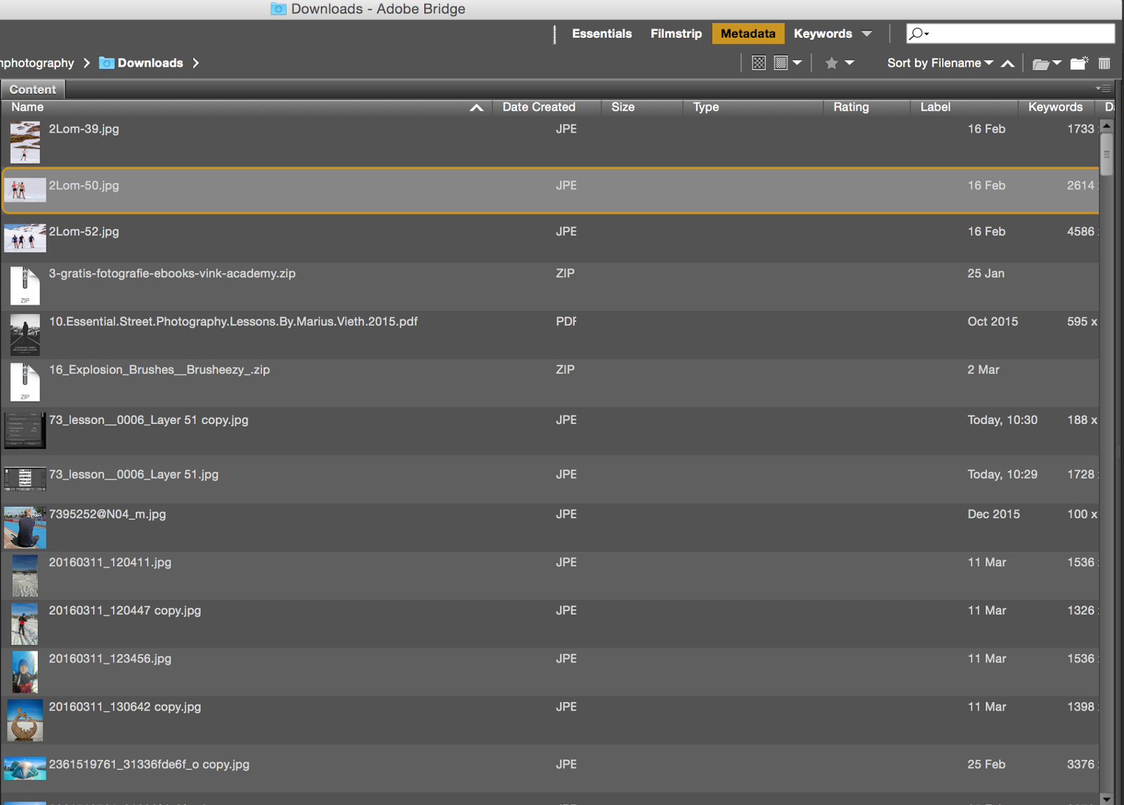Hamperium Photography & Communication: How to add metadata in Adobe Bridge
