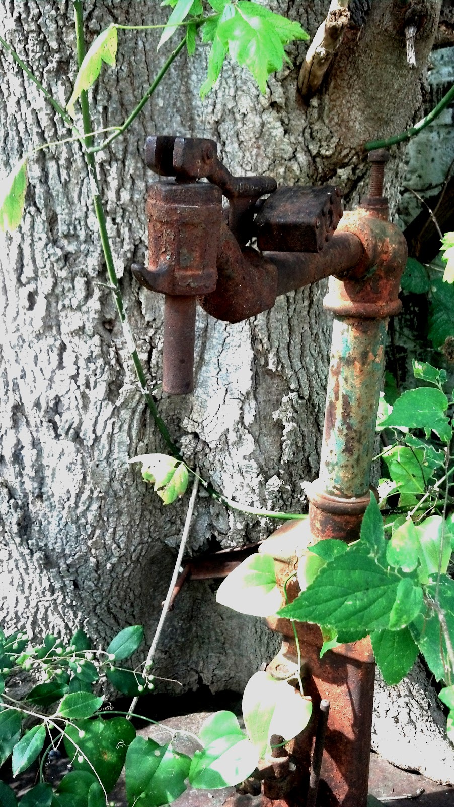 Minister's Musings: A Living Legacy—The Movement Continues