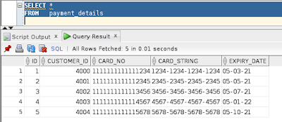 What is Oracle Data Redaction with Examples (Mask your sensitive Data)