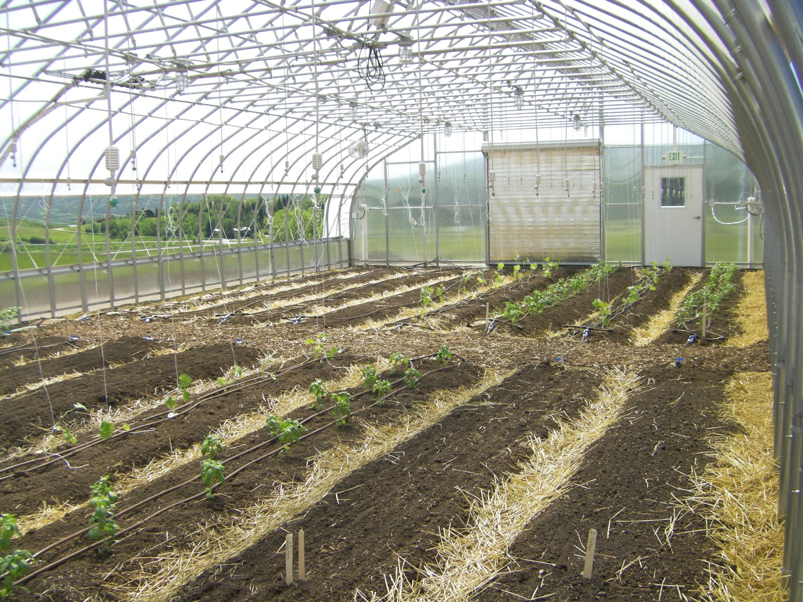 Elkstone Farm: Hoop House Progression