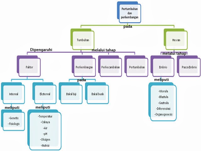 Tahap-Tahap Pertumbuhan dan Perkembangan pada Tumbuhan Berbunga ...