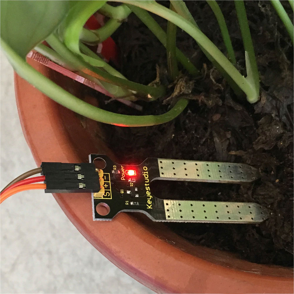 ตัวอย่างโปรเจค Iot Esp32 หุ่นยนต์ Esp32 โปรเจค Iot Esp32 วัดความชื้น