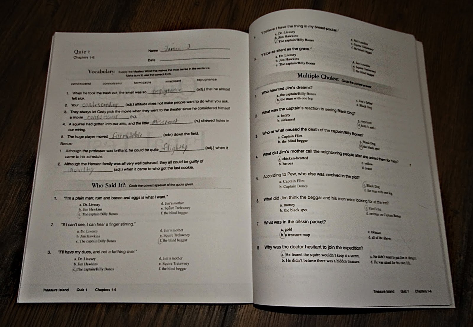 Embracing a Healthy Family: Our Review of Eighth Grade Literature Guide ...