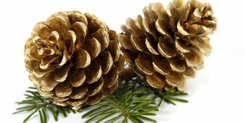 Decoração de natal artesanal, sugestões de como usar a Pinha | Artfex Blog