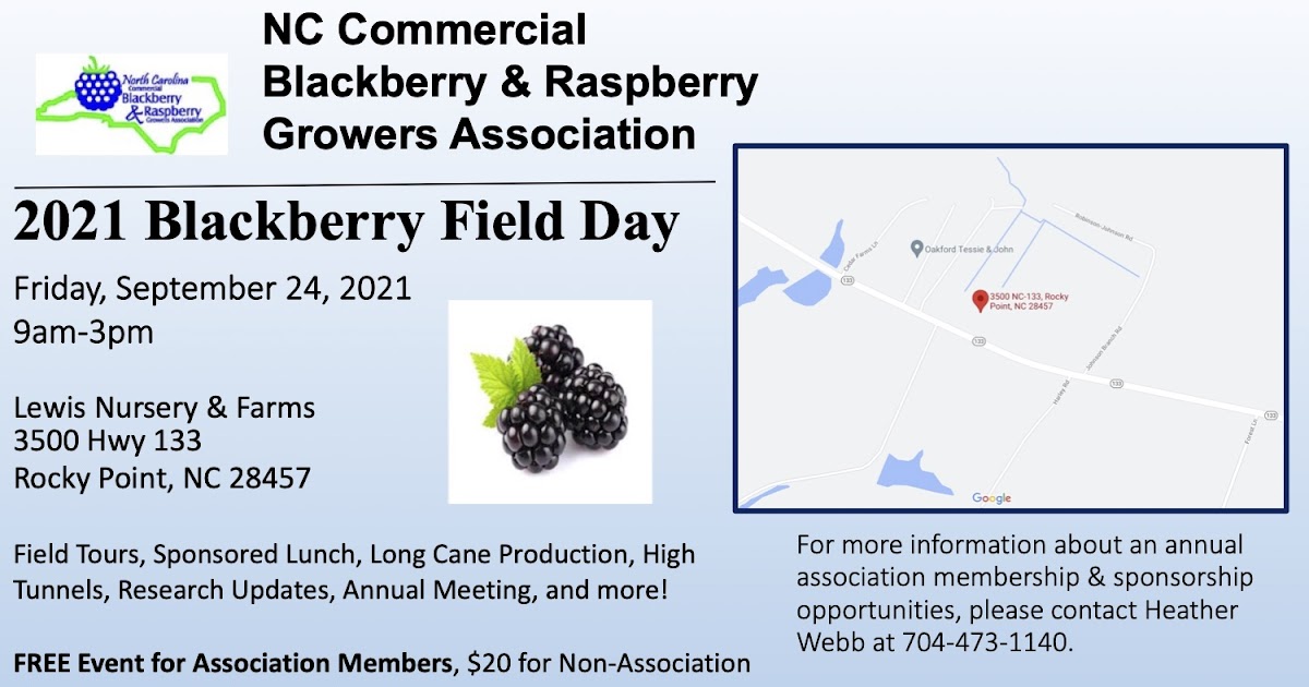 Team Rubus: Blackberry Field Day 2021