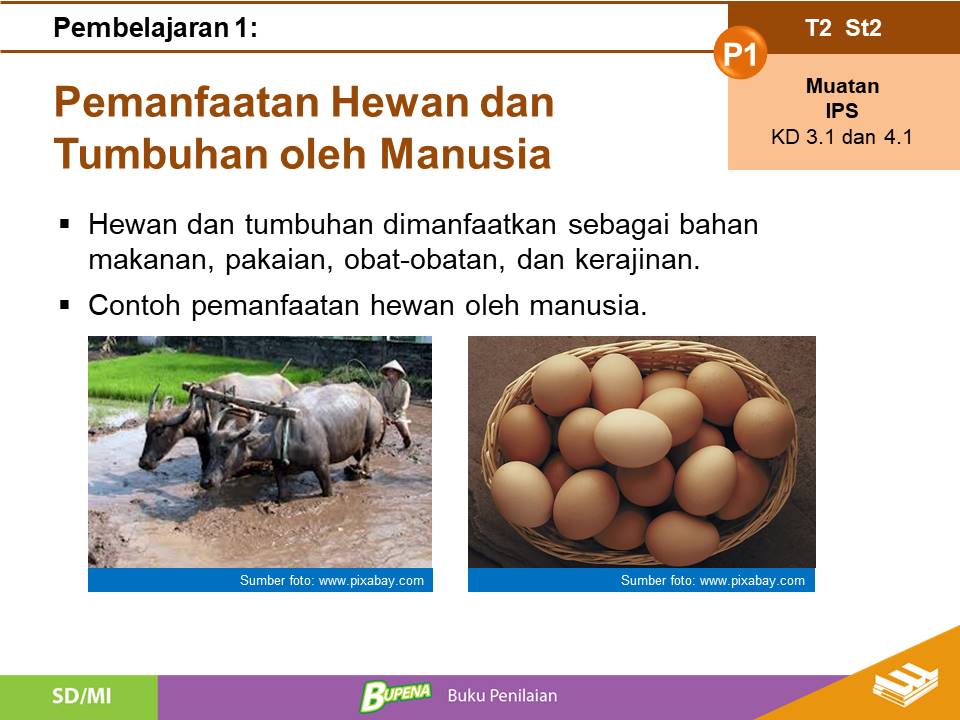 Kelas 4 Karakteristik Ruang Dan Pemanfaatan Sumber Daya Alam Tema 9 - Riset Kelas 4 Karakteristik Ruang Dan Pemanfaatan Sumber Daya Alam Tema 9 - Riset