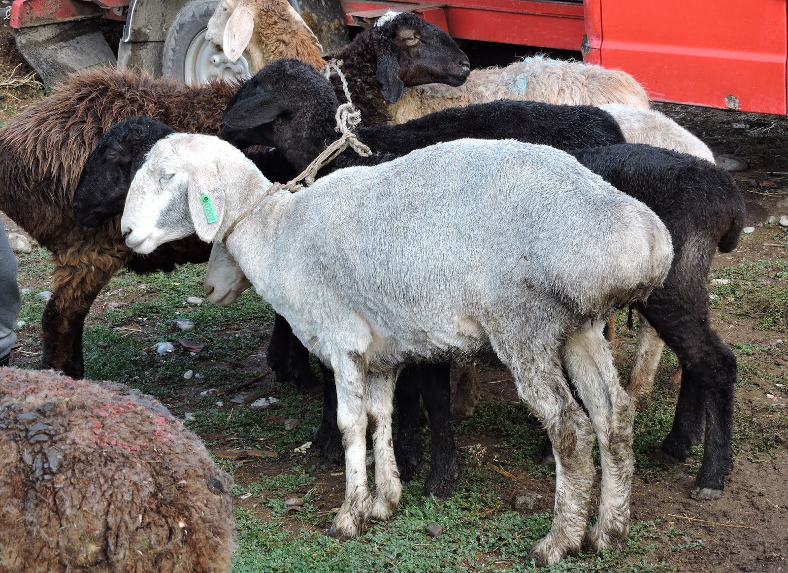 eGlobal Education: September 2014