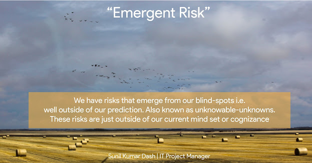 Event Risk Vs Variability Risk Vs Ambiguity Risk Vs Emergent Risk