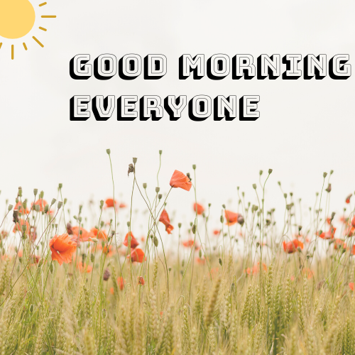 15+ Good Morning Everyone Images,Pics,Pictures