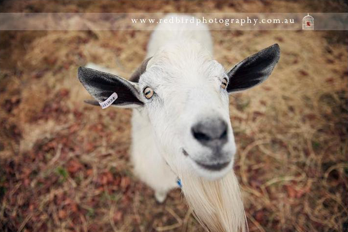 Lia, Zoe & Friends: July 2011