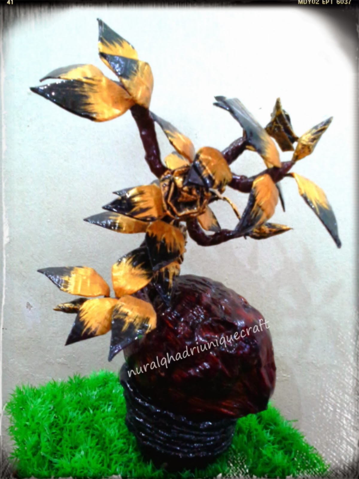 NUR AL-QHADRI UNIQUE CRAFT: KOLEKSI POKOK BONGSAI KELAPA KOMENG