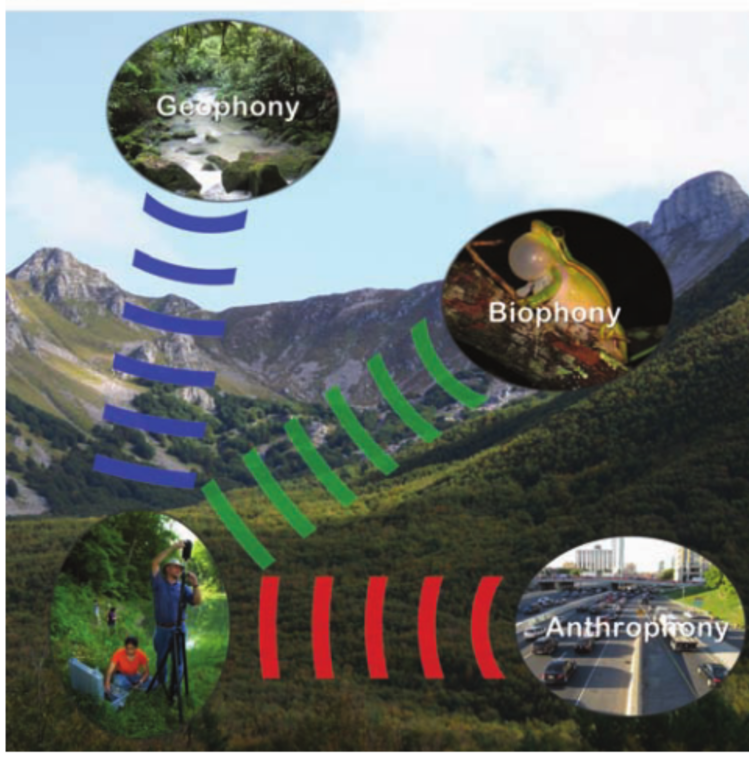 Bat Conservation Trust: Using acoustics to assess biodiversity in cities