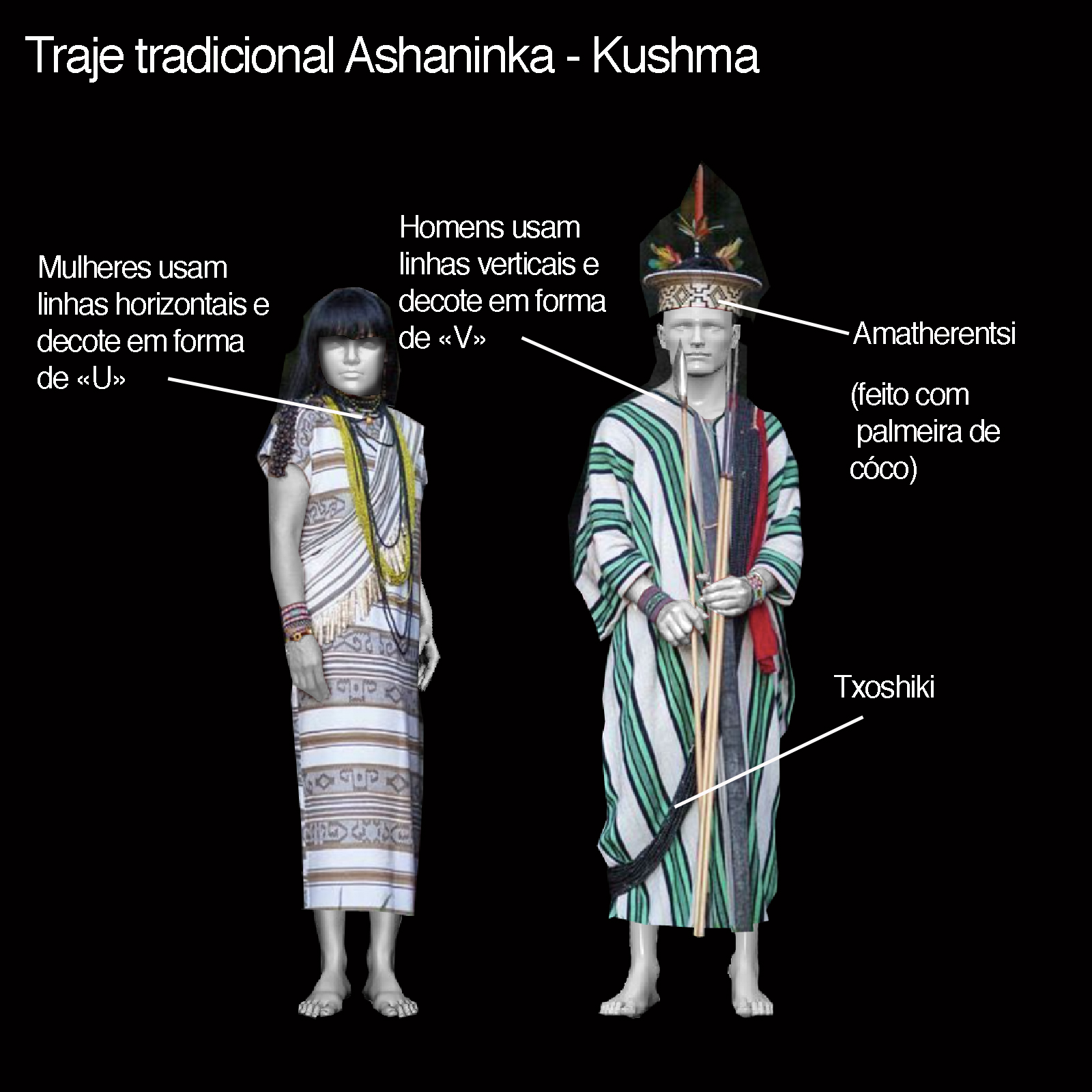 Povos Indígenas Brasileiros: Ashaninka