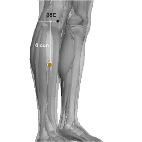Blog Le Souffle du Menhir: E37 Shang Ju Xu / Shàng Jù Xū 上巨虚Grand Vide ...