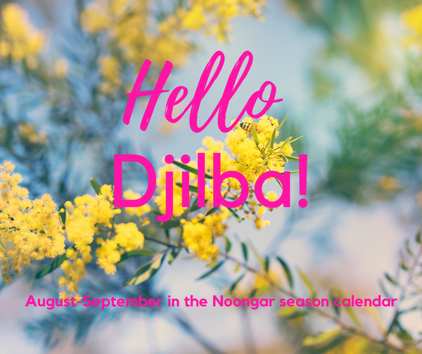 earthmotherwithin: Djilba! Waiting for the spring