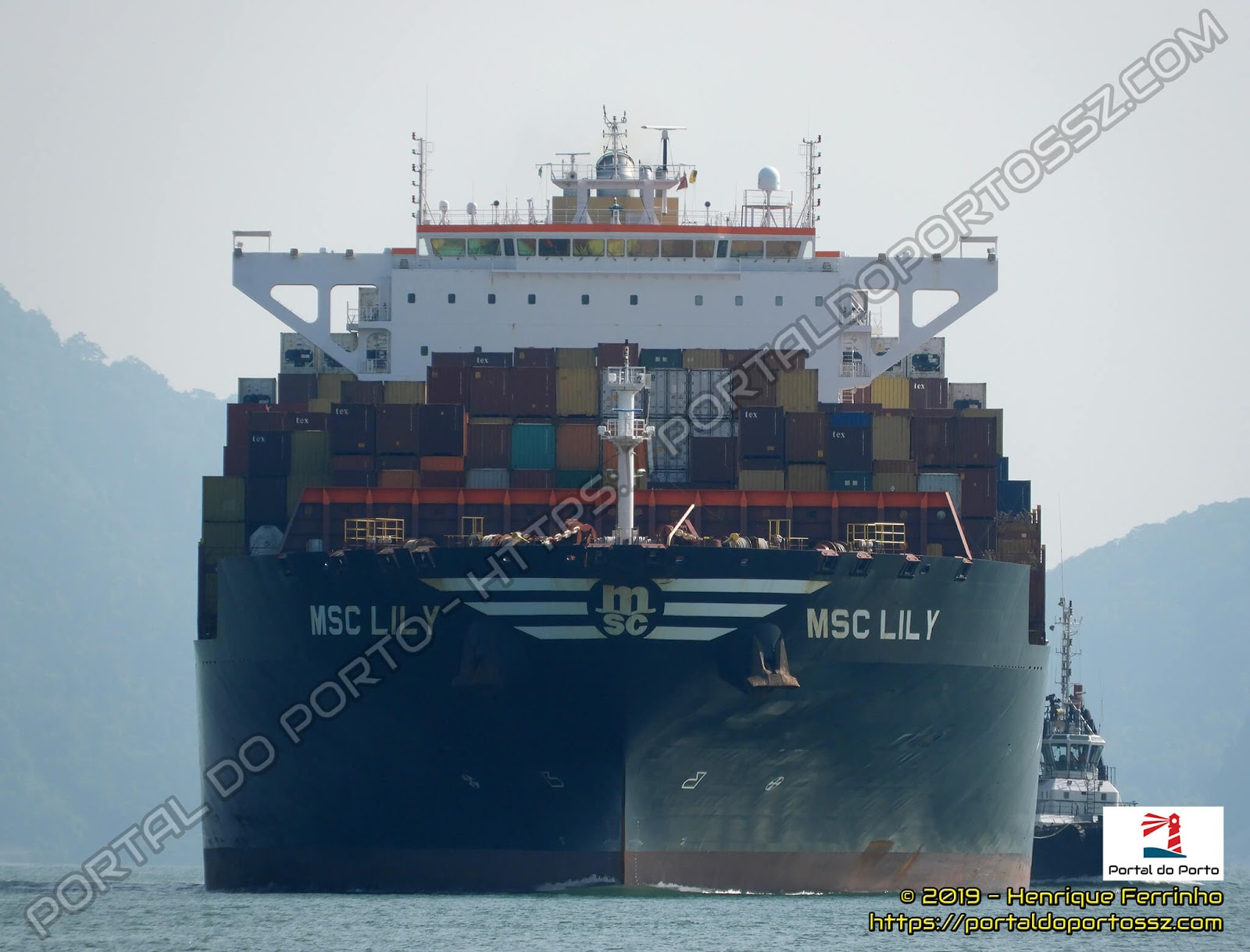 MSC Lily - Portal do Porto