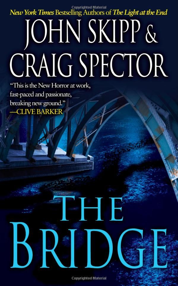 The Warrior Muse: Horror List Book Review: The Bridge