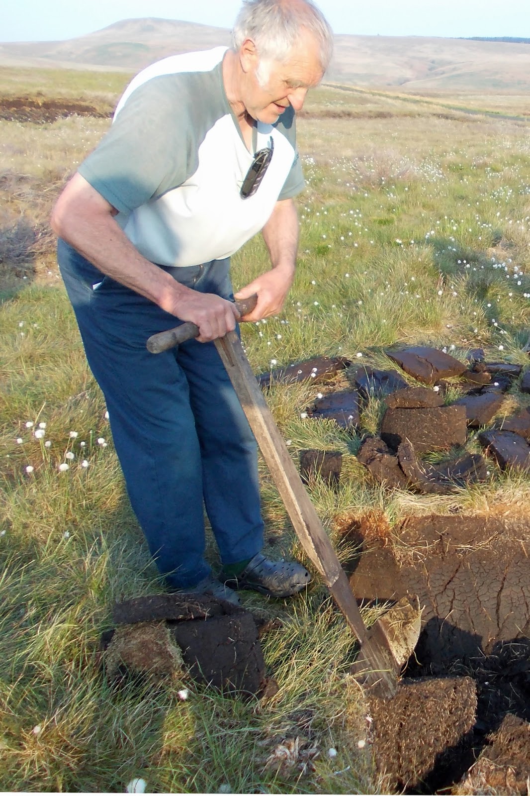 Dumfries and Galloway: A Regional Ethnology: Peat Cutting on Middlemoss ...