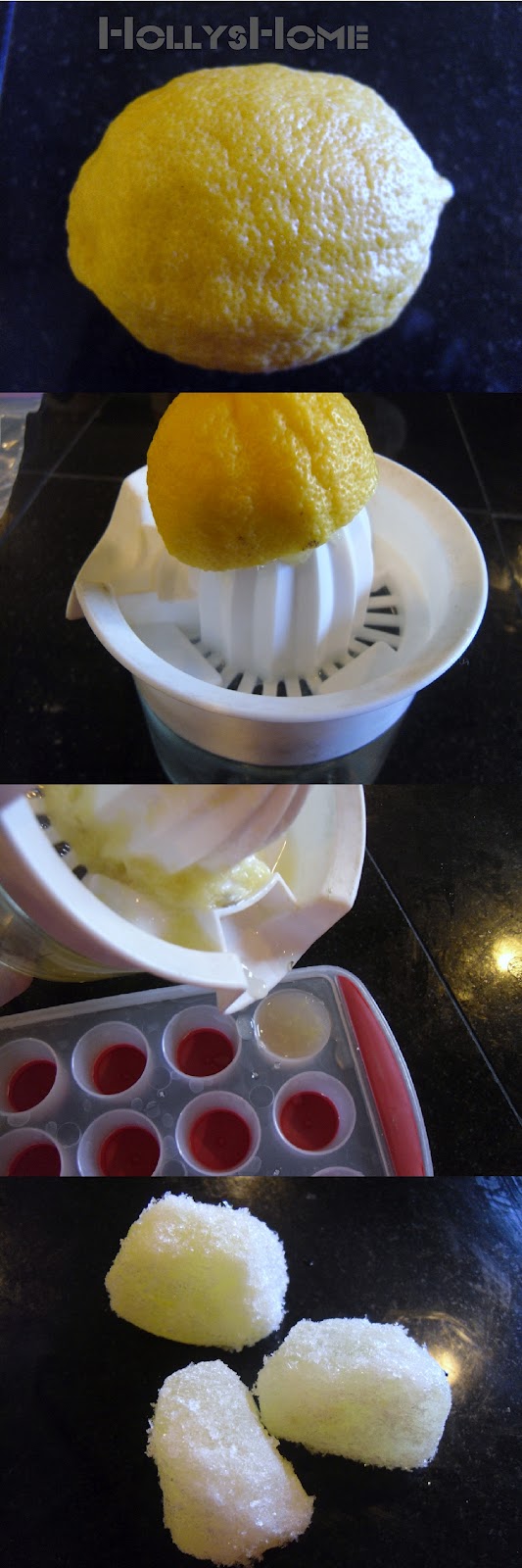 HollysHome Family Life: When Life Gives You Too Many Lemons Just Freeze ...
