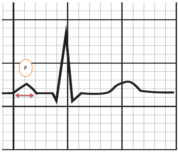 Siempre Estudiando Medicina- El Reto que nunca termina ...