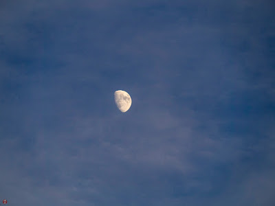 FROM THE GARDEN OF ZEN: Half-moon: Yuigahama-beach