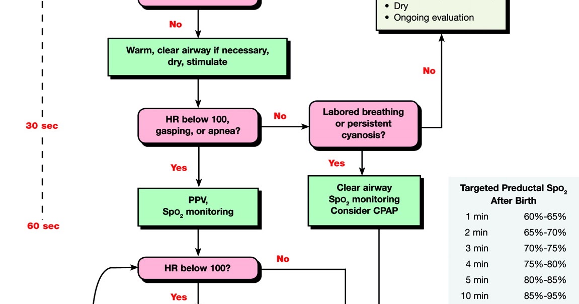 NEONATAL ADVANCED LIFE SUPPORT|Neonatal Resuscitation|Top medical and ...
