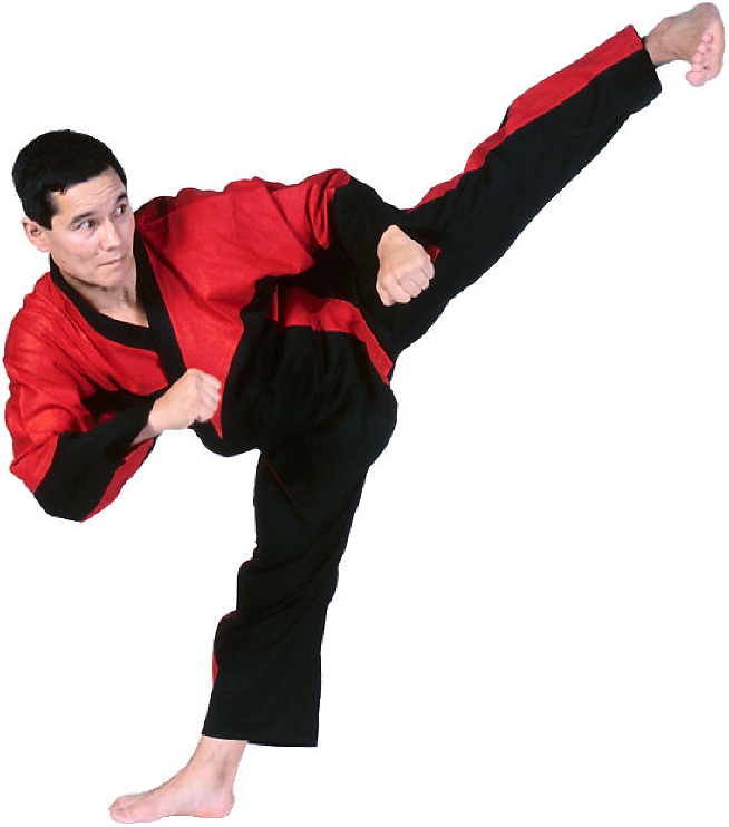 Master of the Martial Art Gallery