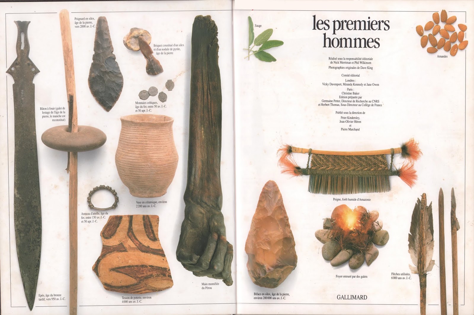 Leçons de choses: Les premiers hommes (1989)