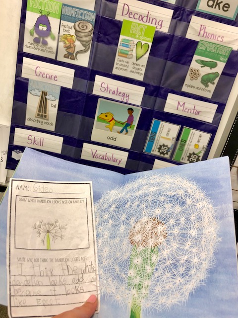 Primary Graffiti: Informational Writing