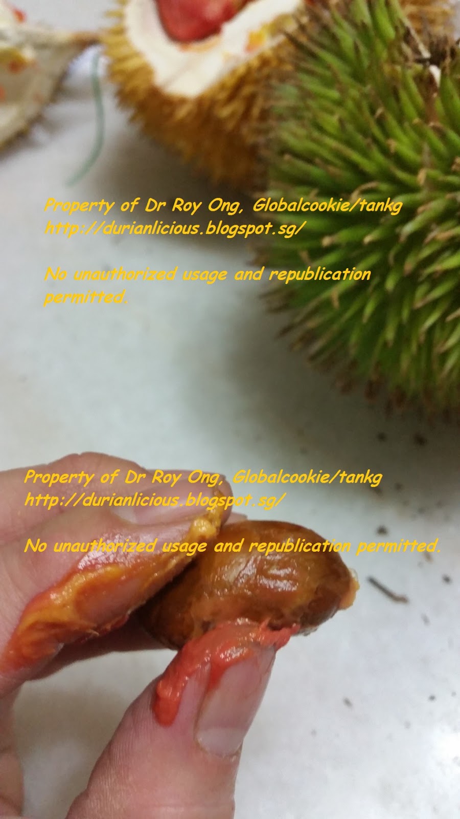 Durianlicious: Red Durian - Myth or Mystery?