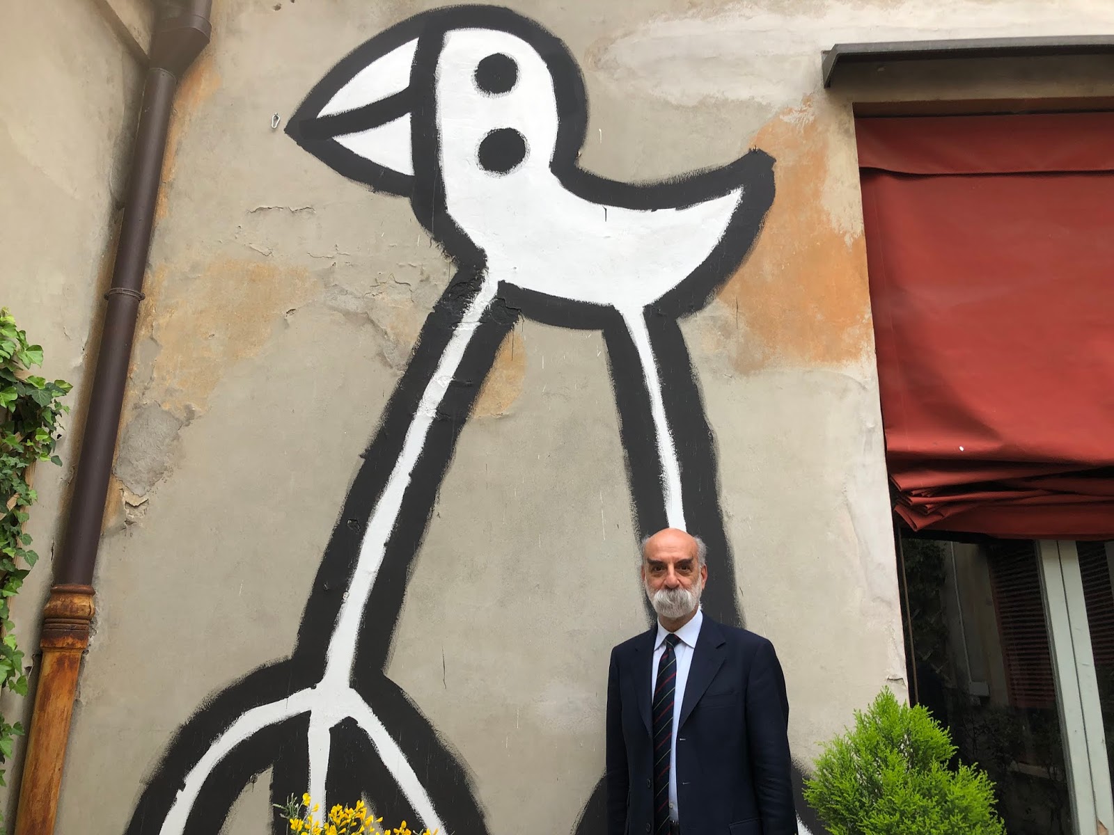 CUOGHI CORSELLO: riassunto 2019