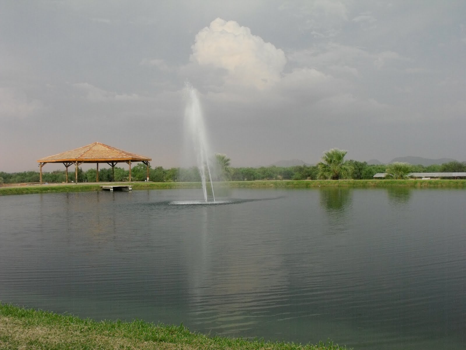 El camichin Instituto Naturista y Spa: GALERIA