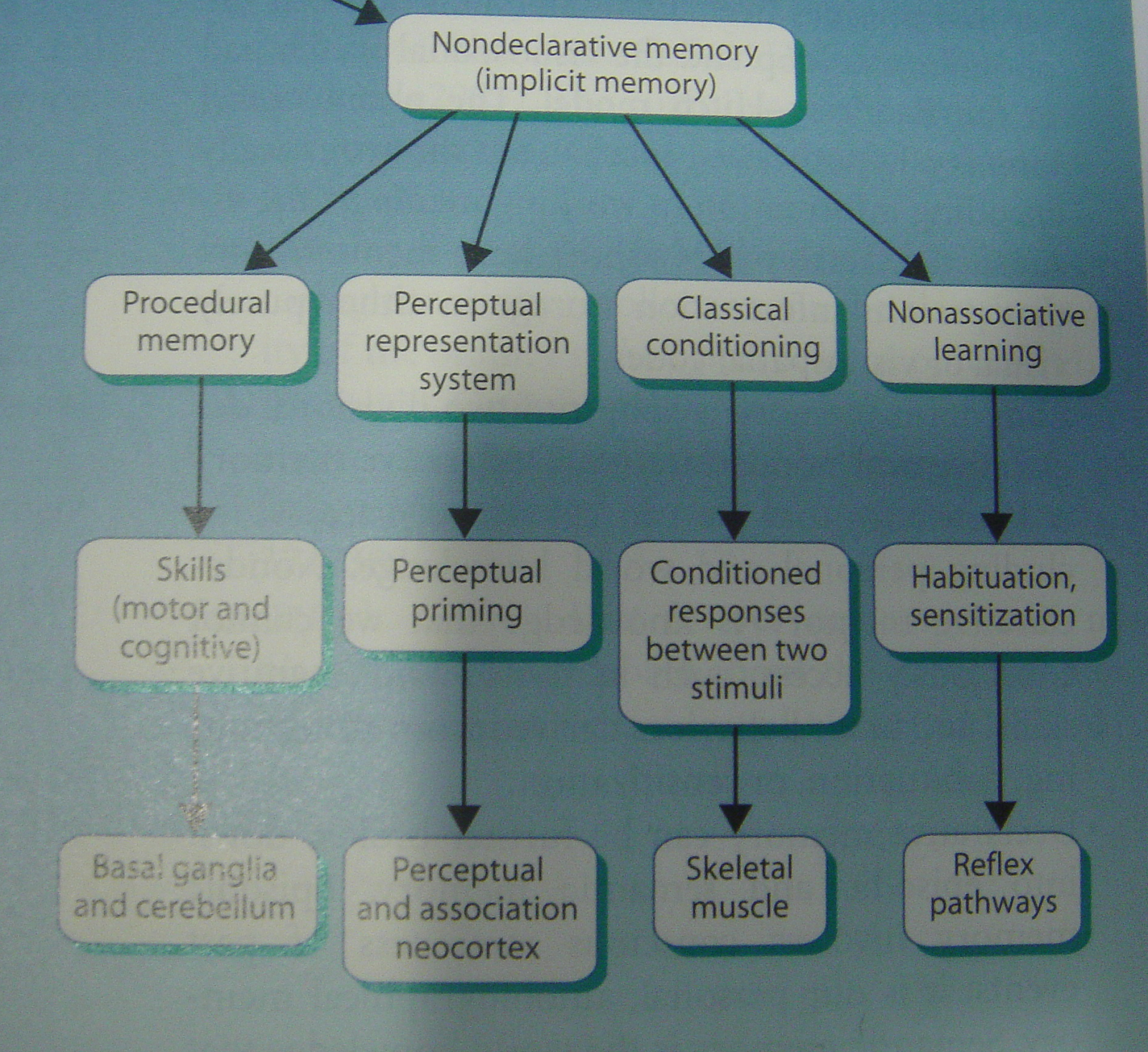 Types of Memory