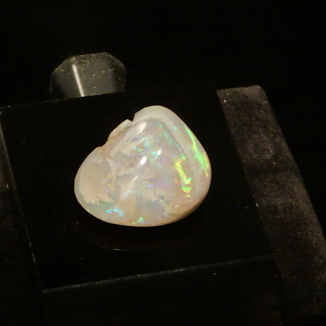 BONE ROOMS: The National Opal Collection