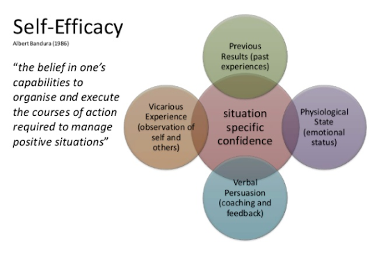 Building Self-Efficacy in Learners