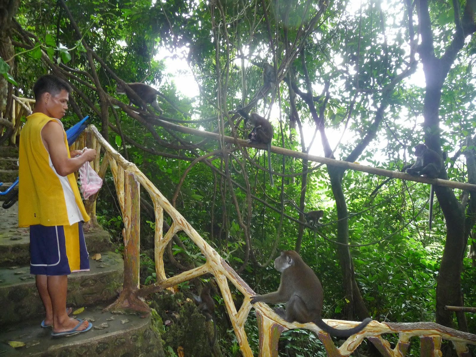Leyte Places: Hindang Caves and Wild Monkeys