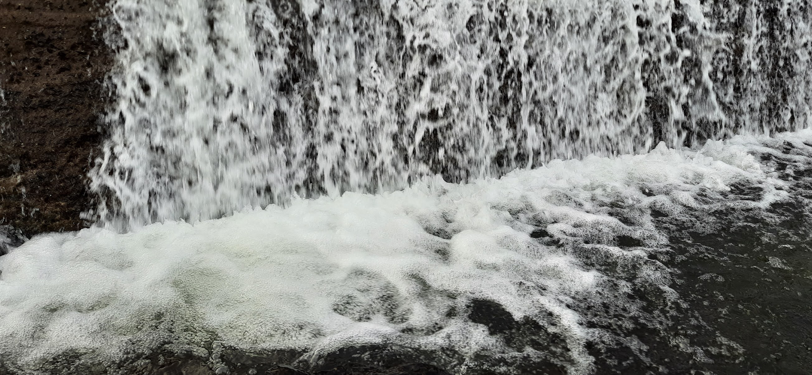 Sharad Pandhare's Educational Blog: Incredible Nature