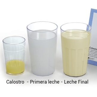 Diario de una asesora de lactancia - IBCLC: Leche de colores