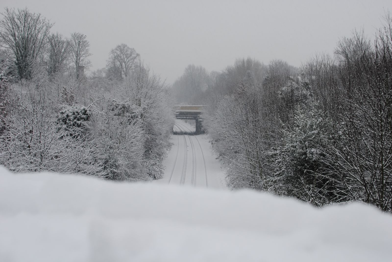 Richard Elliot's Blog: Brockley in the snow