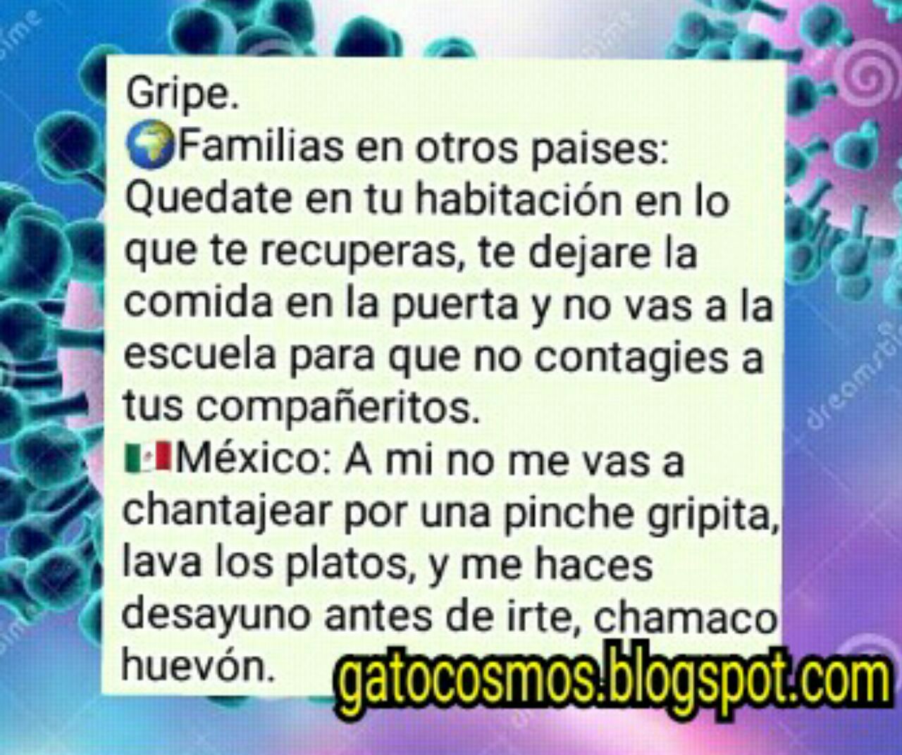 Memes: Gripa - gripe en México. - Gatocosmos - el blog del amarganeitor
