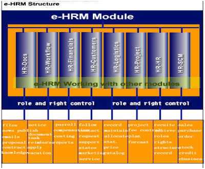 PGDHRM 2011-12: E-HRM: Modules and Outlook to the issues