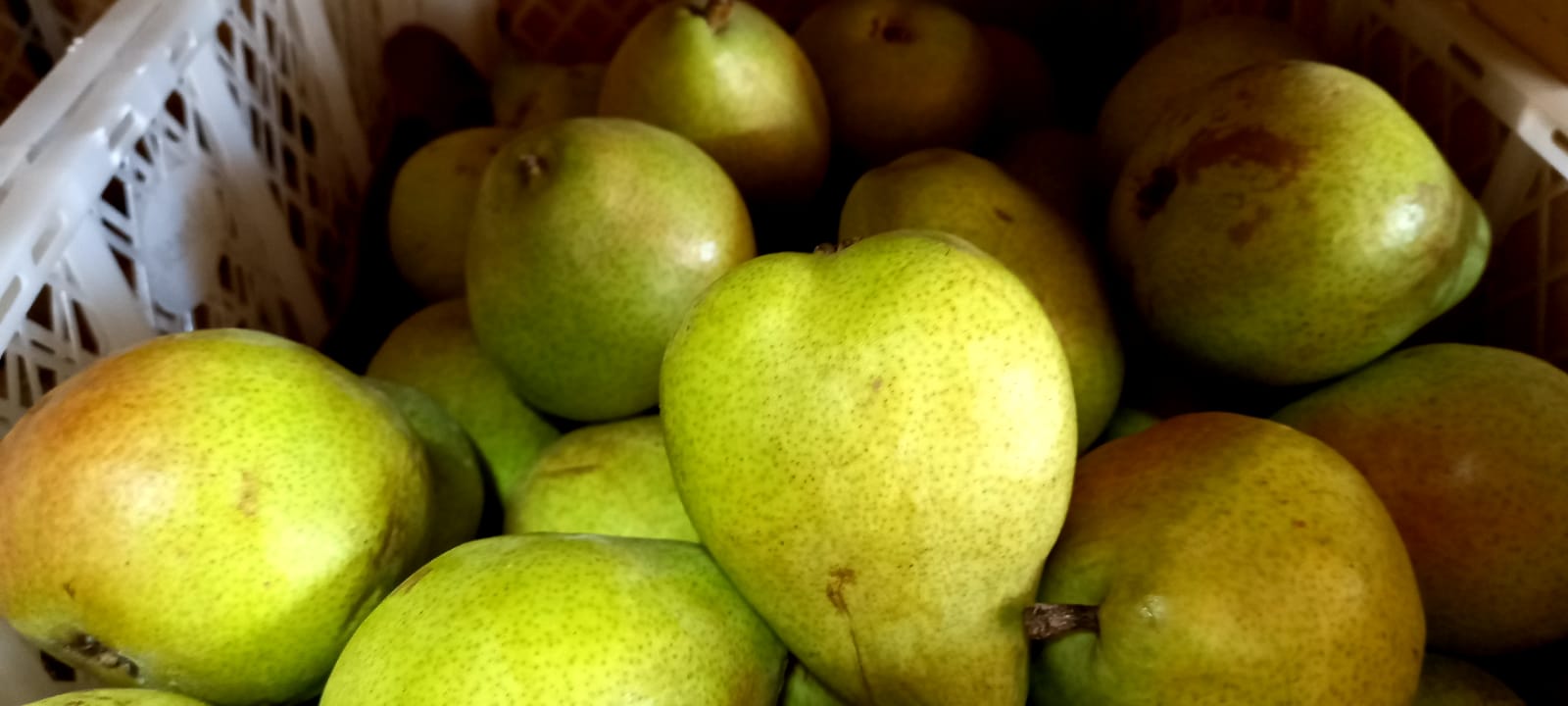 Portal Do Rurik Frutas E Verduras Fresquinhas Você Só Encontra No