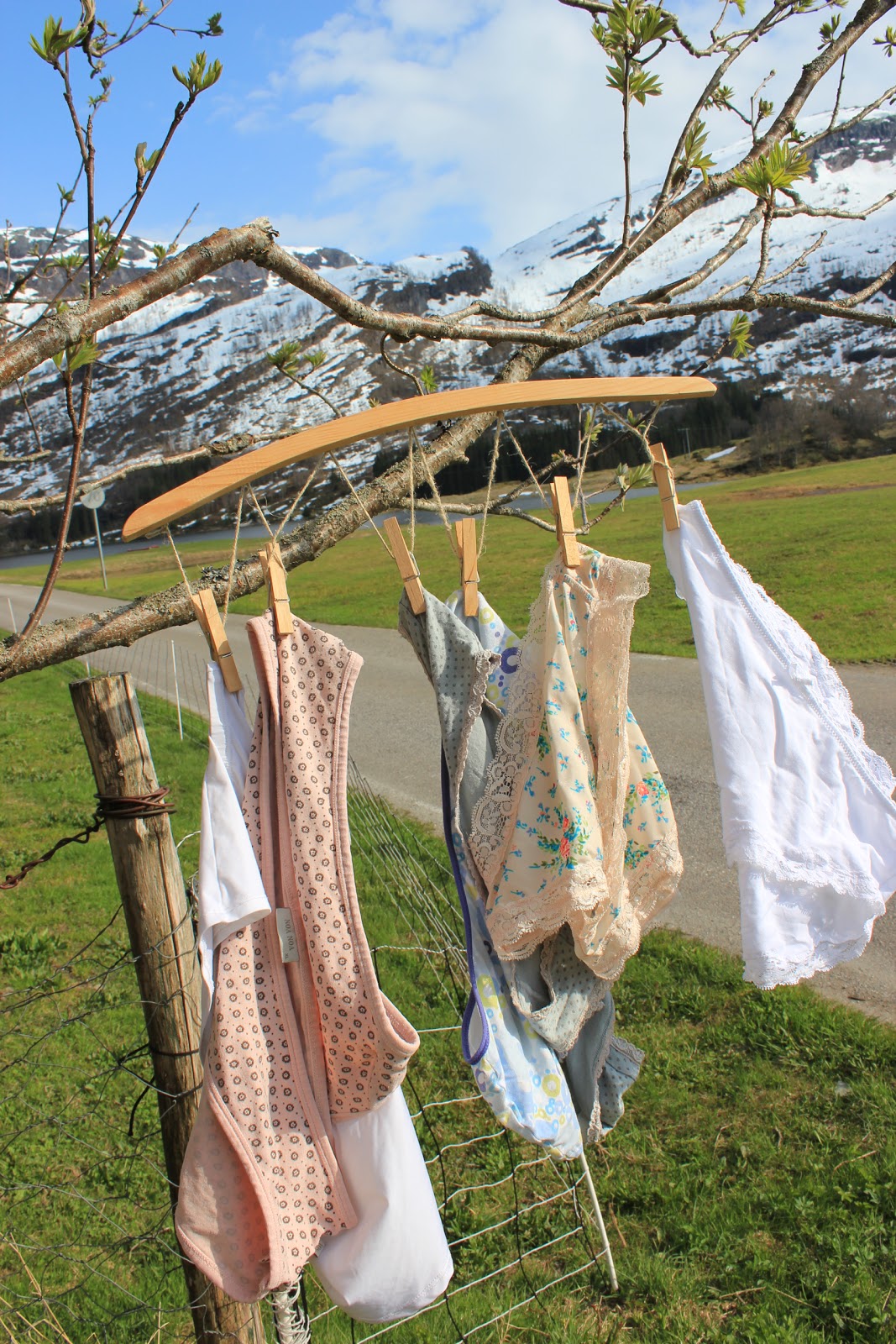 tistelogtue: Truser til tørk