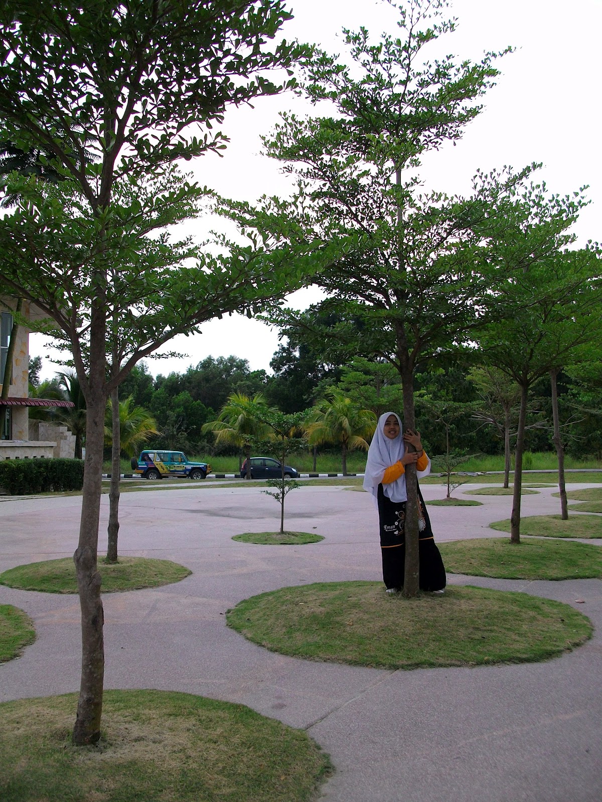 Tanaman Penghias Laman: Pokok Naungan
