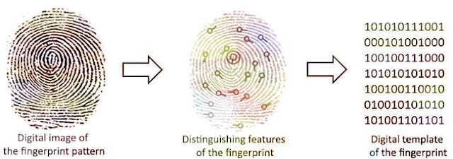 All About Forensic Investigative Sciences How Fingerprint Scanner Works All About Forensic Investigative Sciences How Fingerprint Scanner Works