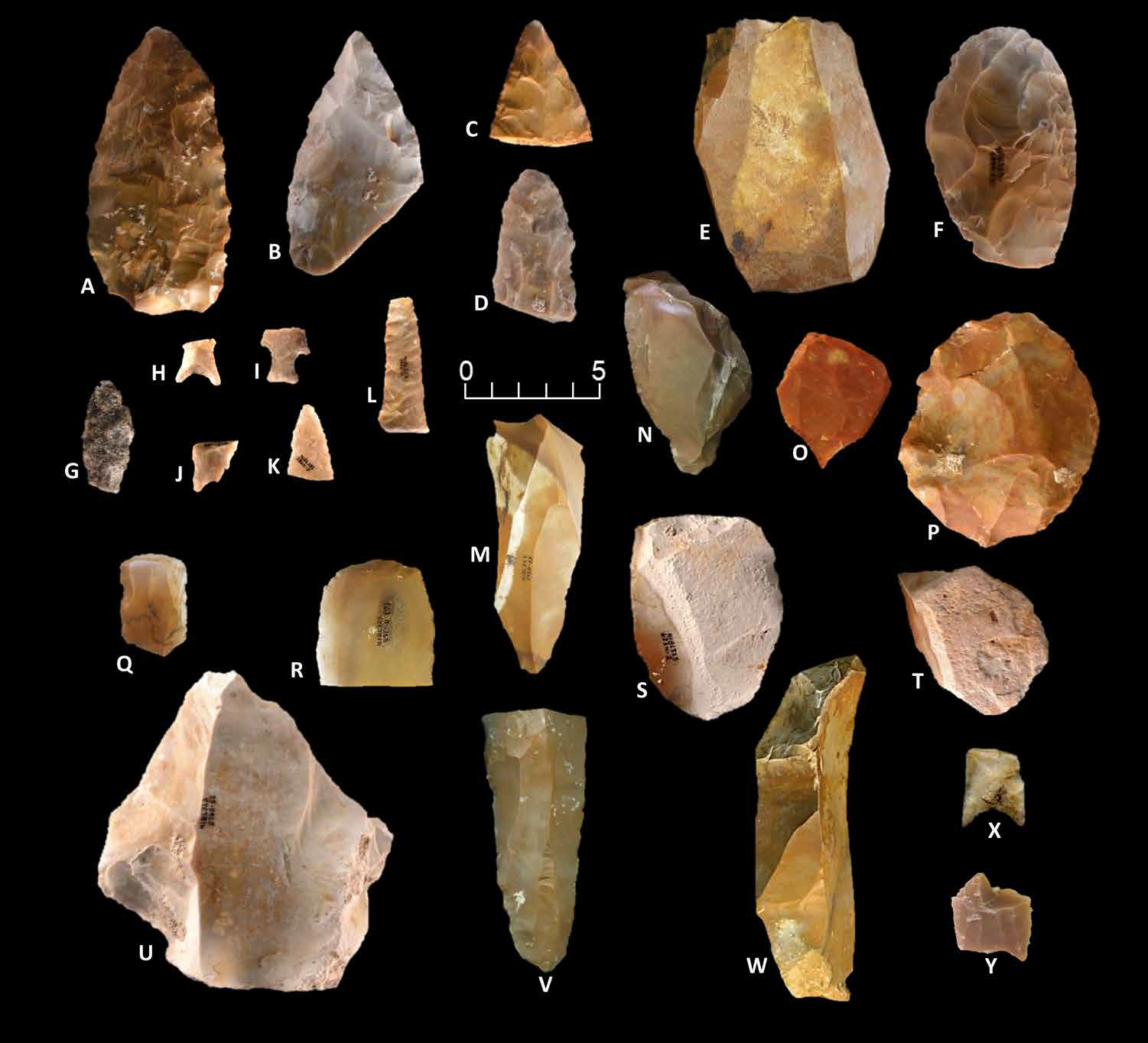 Sciency Thoughts: Projectile points from a pre-Clovis technology from ...
