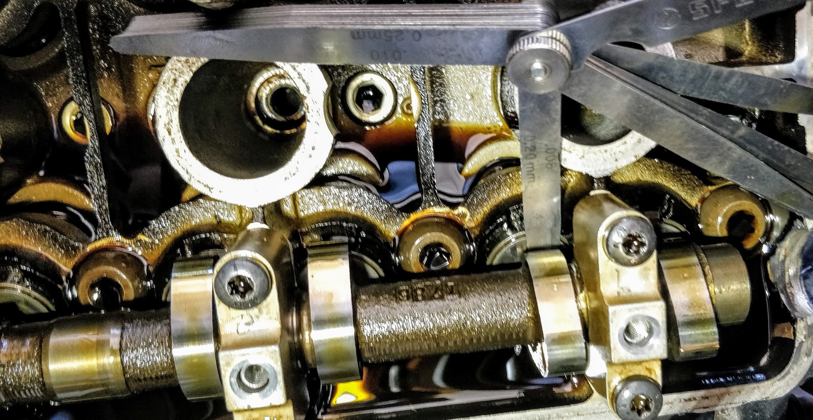 Tim's Motorcycle Diaries: Triumph Tiger 955i Valve Clearance Check