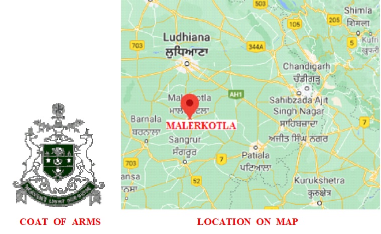 Malerkotla princely state court fee/revenue stamp