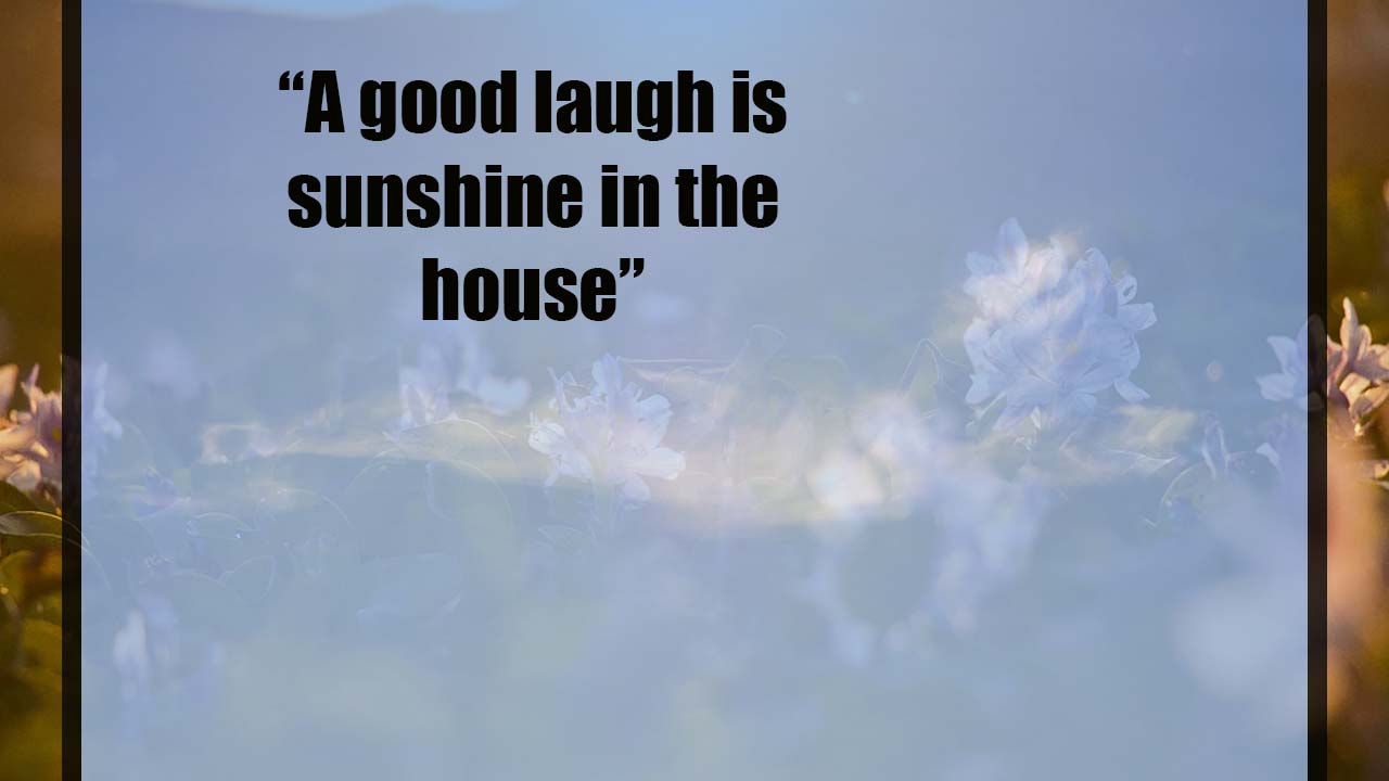 Funny Sunshine Quotes images