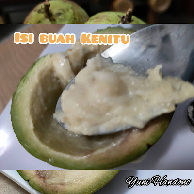 Kenitu, Buah Khas Indonesia Yang Kaya Manfaat